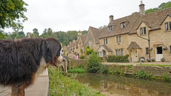 How to play Pick my Postcode Lottery in the UK | Coupon Queen